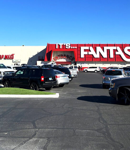 gigantic nevada flea market ftr