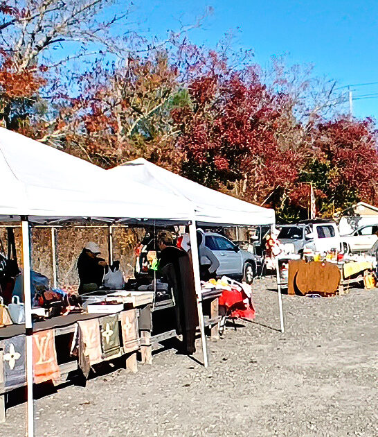 gigantic new jersey bargain ftr