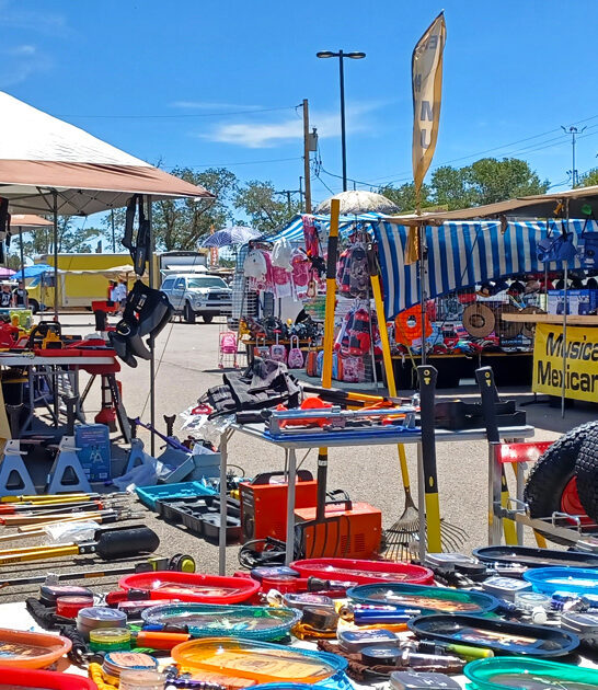 gigantic new mexico bargain ftr