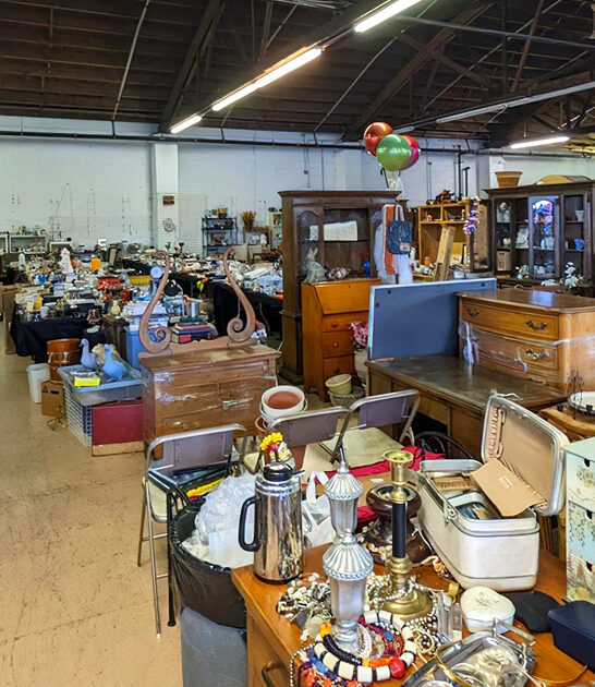 gigantic secondhand illinois treasures ftr
