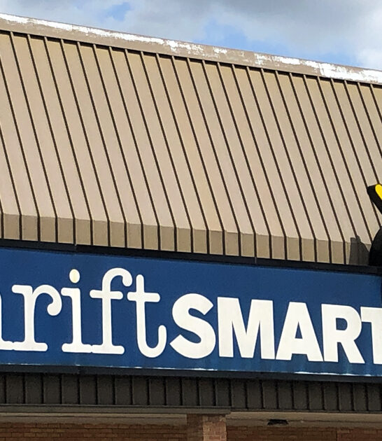 gigantic secondhand tennessee shops ftr