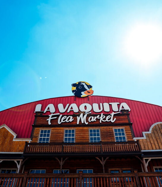 gigantic swap meet georgia ftr