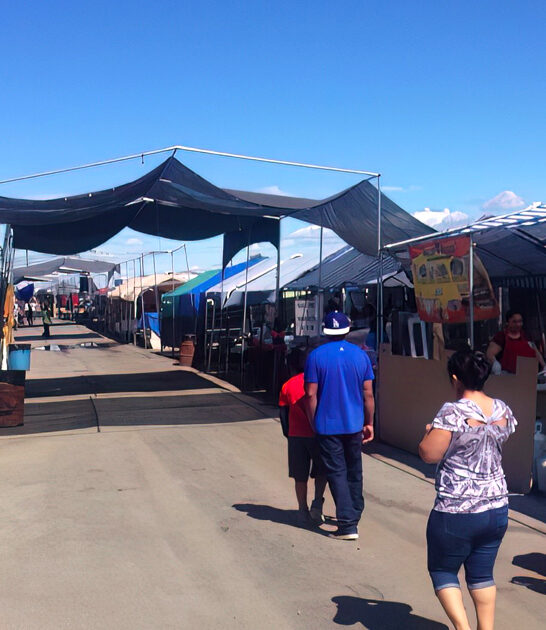 gigantic swap meets washington ftr