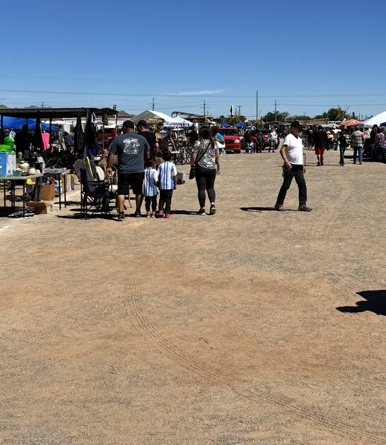 gigantic swap new mexico ftr