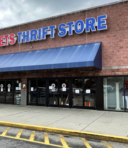 gigantic thrift shops tennessee ftr