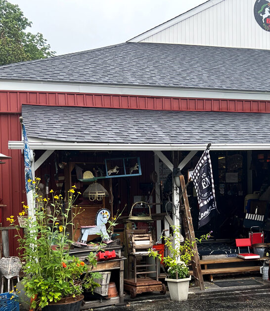 gigantic vintage stores delaware ftr