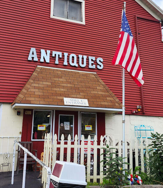 gigantic vintage stores illinois ftr