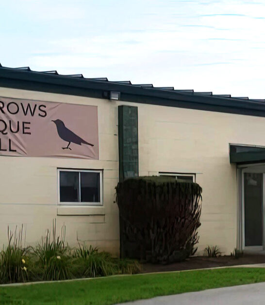 gigantic west virginia treasures ftr