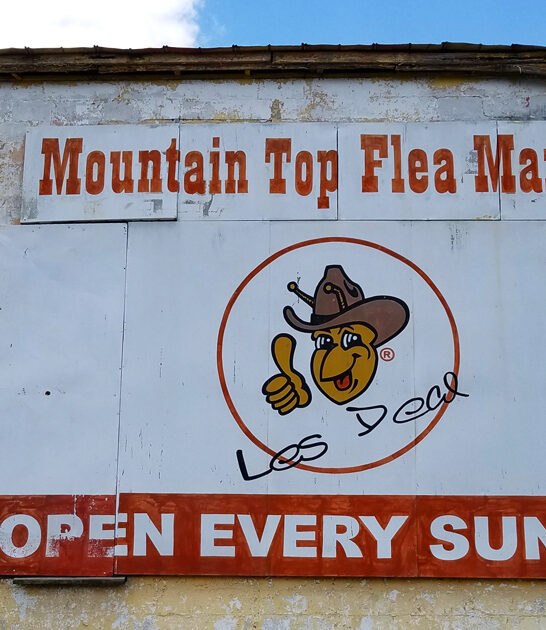 ginormous flea market alabama ftr