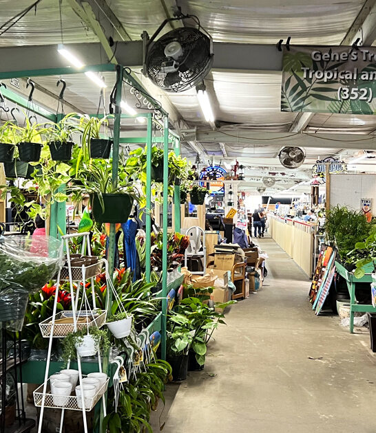 ginormous florida swap meet ftr