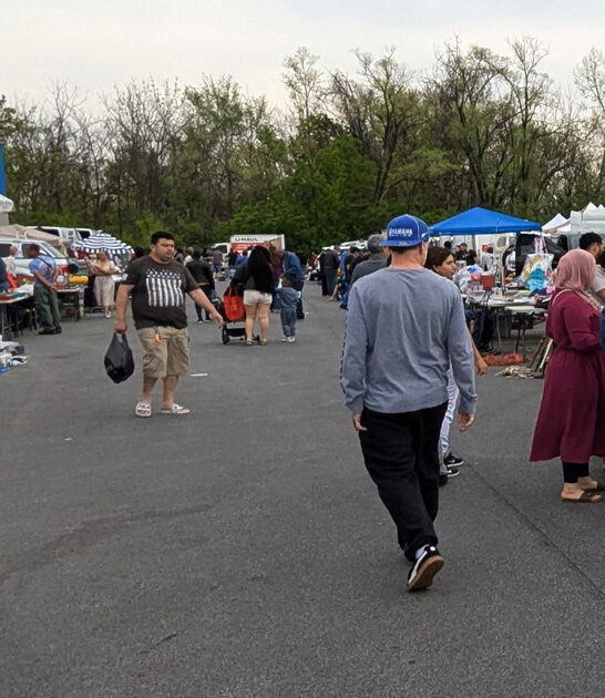 ginormous maryland flea markets ftr
