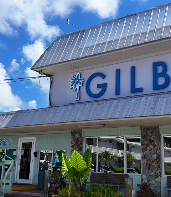 good grilled mahi florida ftr