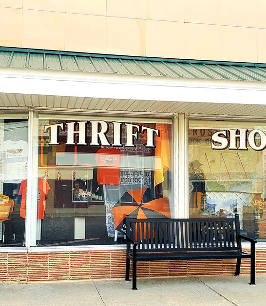 good thrift stores kansas ftr