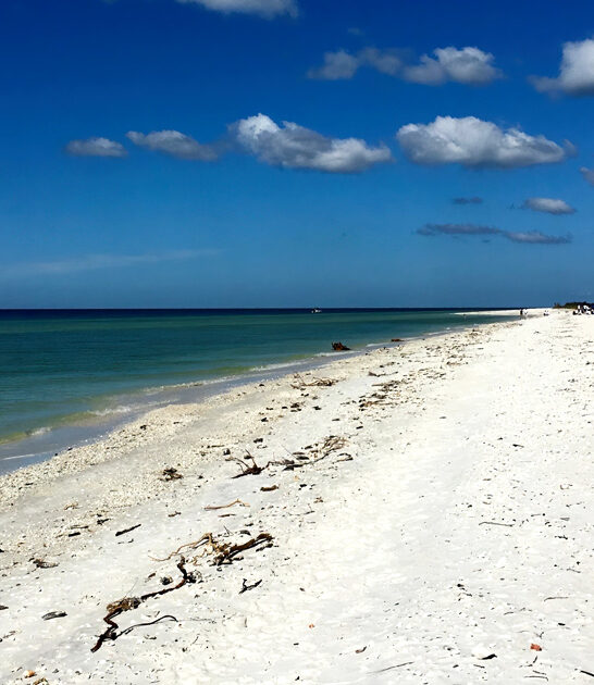 gorgeous beach florida hidden ftr