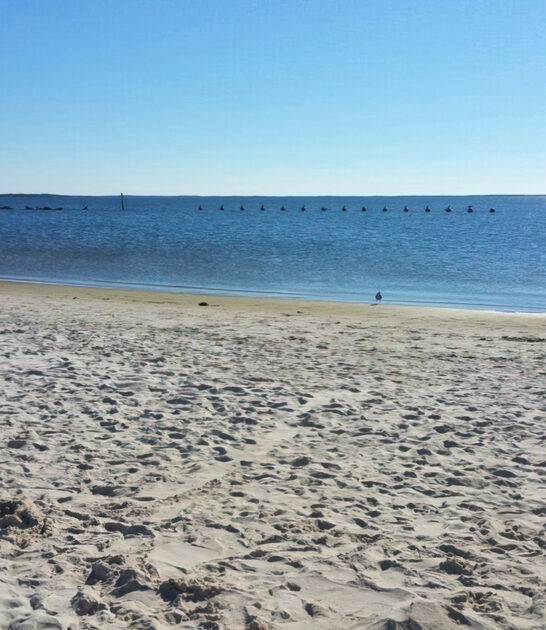 gorgeous beach florida locals ftr