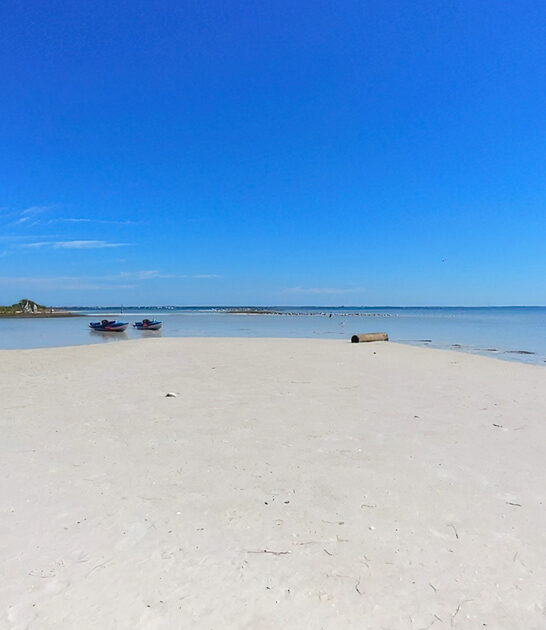 gorgeous beaches florida nature ftr