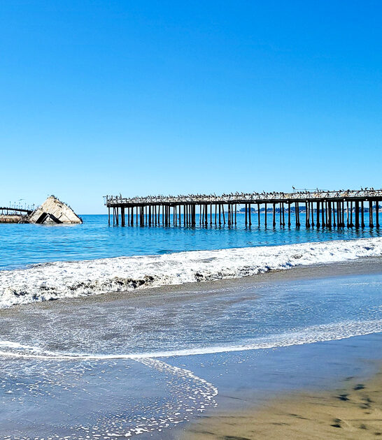 gorgeous california state beach ftr