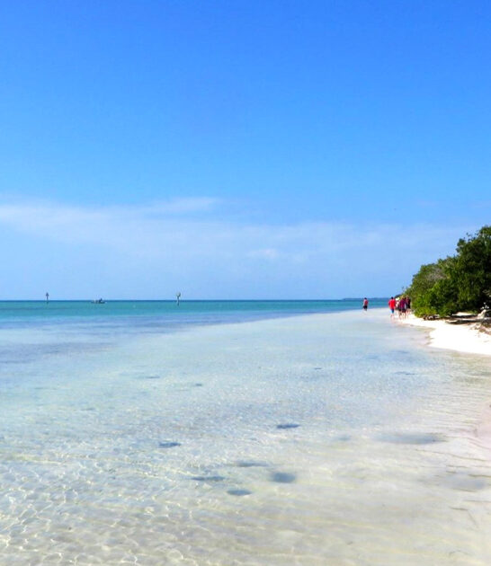 gorgeous florida local beach ftr