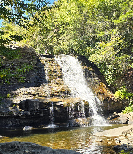 gorgeous maryland park peaceful ftr