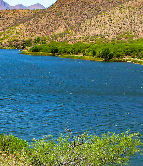 gorgeous park arizona postcard FTR