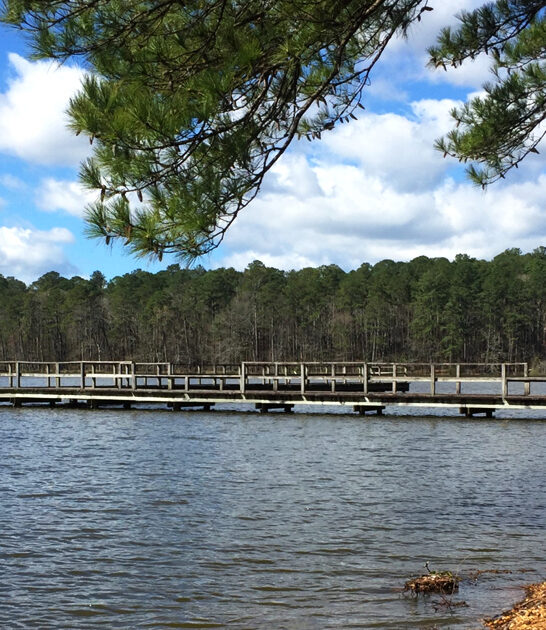 gorgeous serene park mississippi ftr