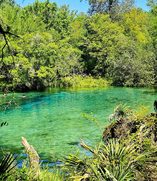 gorgeous springs florida escape ftr