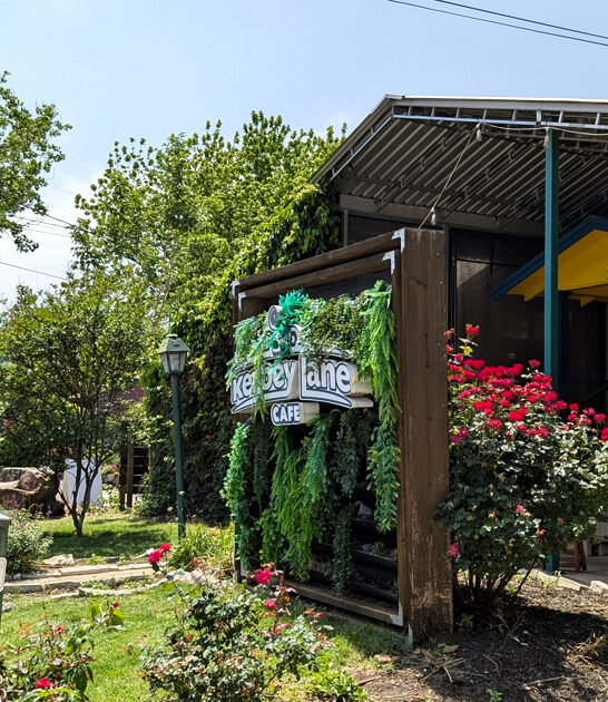 great fried steak texas ftr