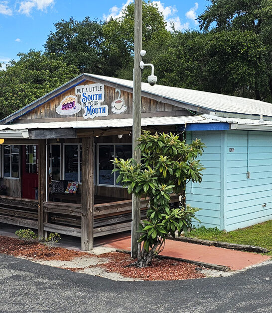 grilled chicken sandwich florida ftr