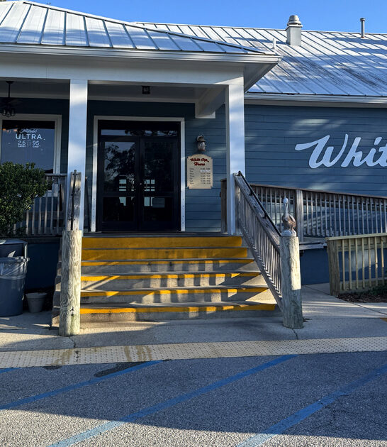 grilled mahi mahi mississippi ftr