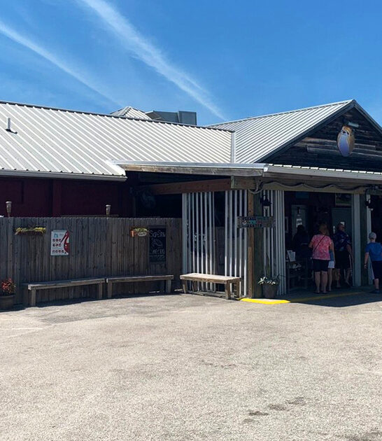 grouper sandwich eatery florida ftr