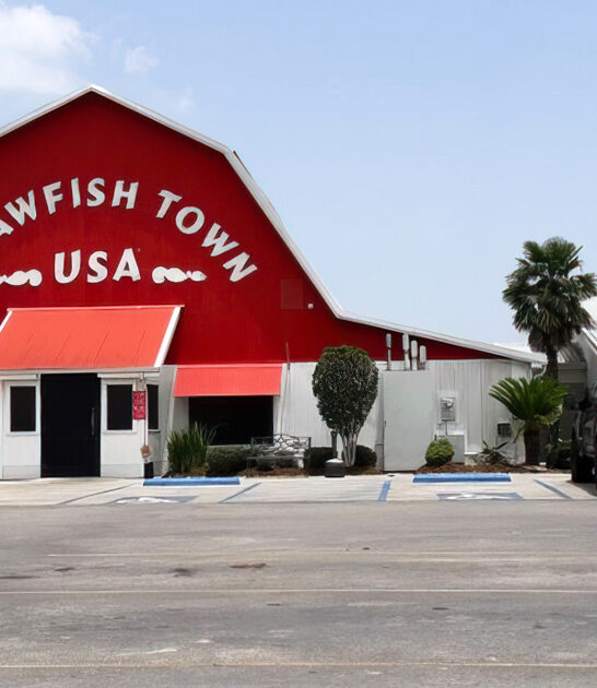 hamburger steak joint louisiana ftr