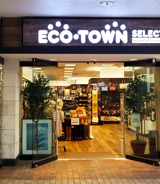 hawaii gigantic thrift store ftr