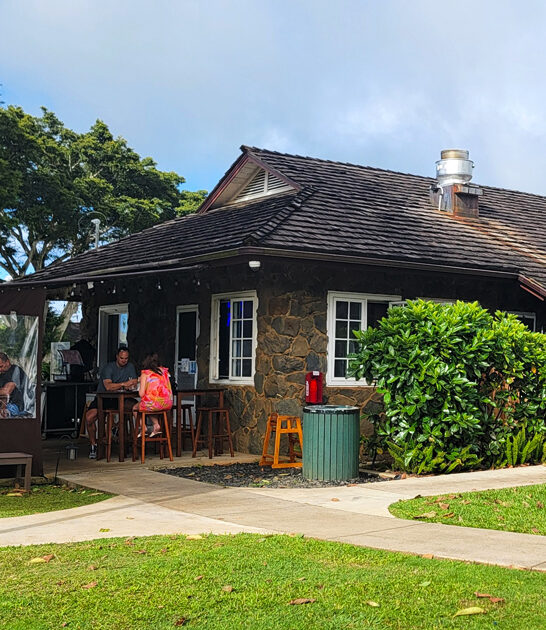 hawaii restaurant tasty nachos ftr