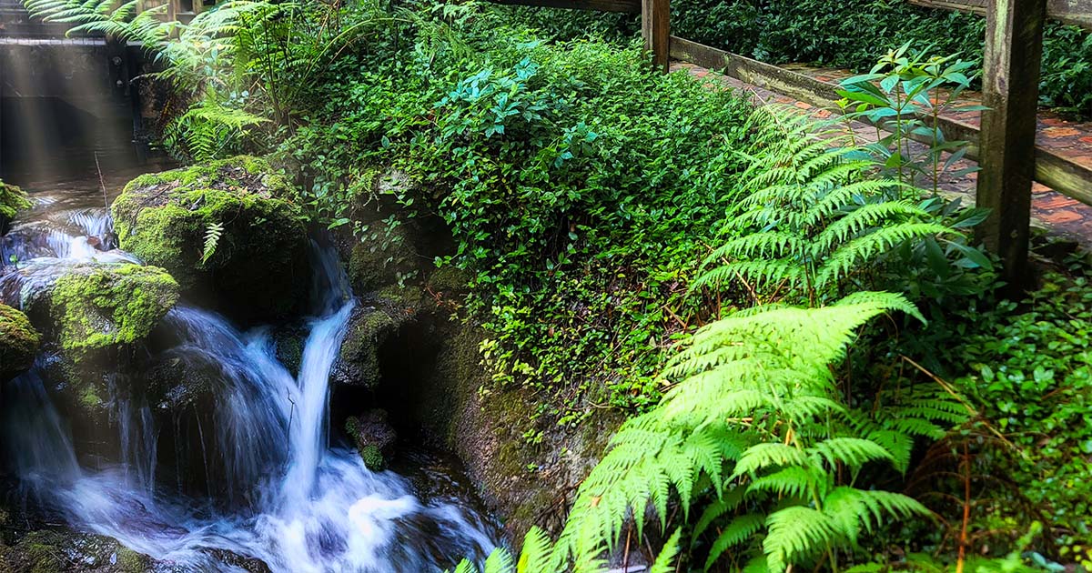 10 Hidden Springs In Florida That Are Almost Too Beautiful To Be Real