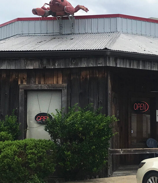 hidden seafood gem louisiana ftr