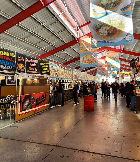 hidden treasure market nevada ftr