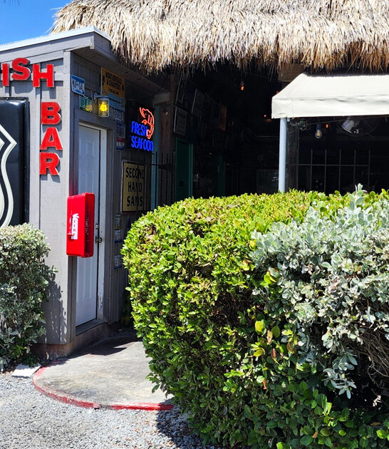 hogfish tacos joint florida FTR