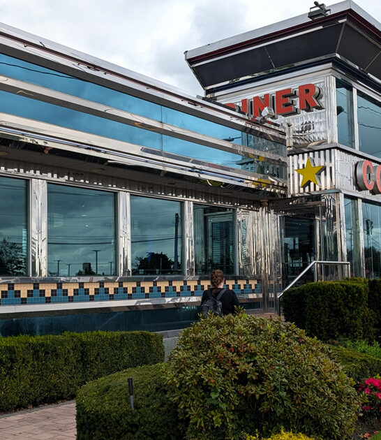 home new york fries ftr