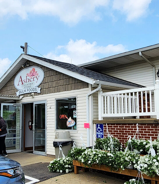 homemade amish stores ohio ftr