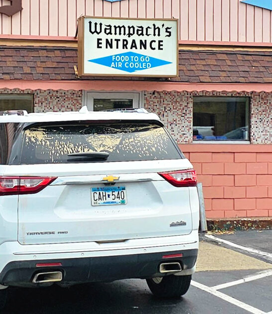 homemade onion rings minnesota ftr