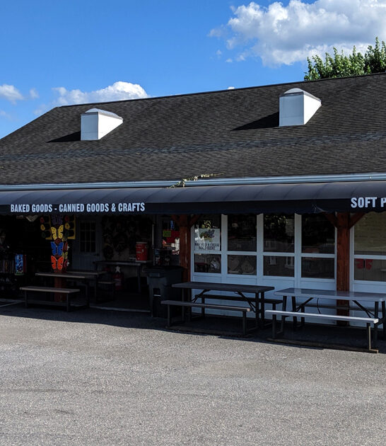 homey amish pennsylvania goods ftr