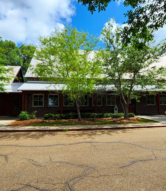 homiest buffet joint mississippi ftr