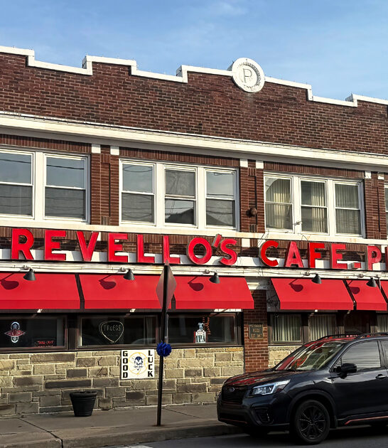homiest garlic fries pennsylvania ftr