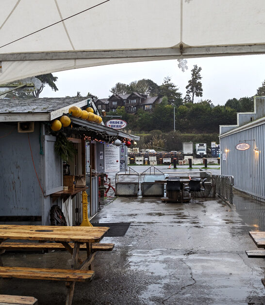 homiest local sandwiches california ftr