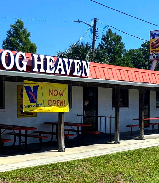 hot dog florida locals ftr