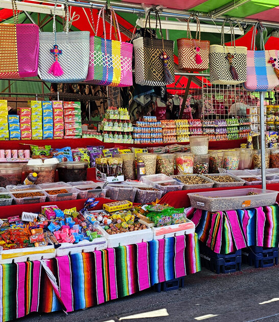 huge flea finds nevada ftr