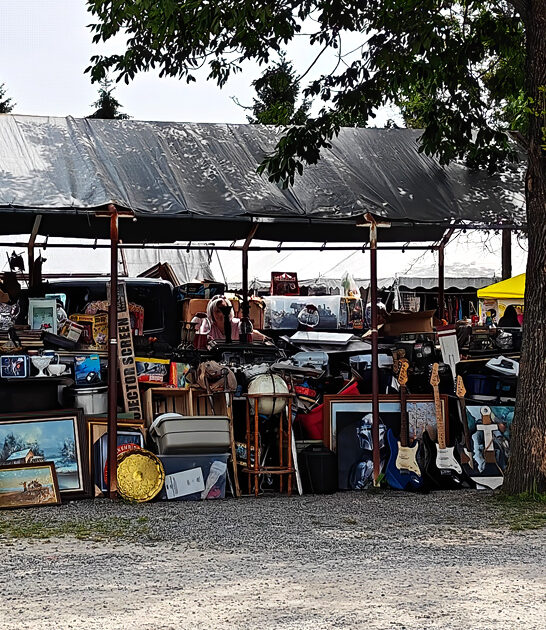 huge flea new hampshire ftr