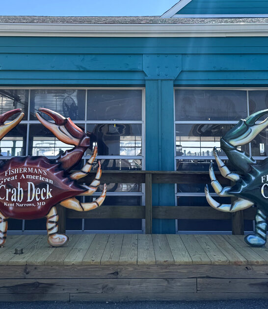 humble crab maryland hush ftr