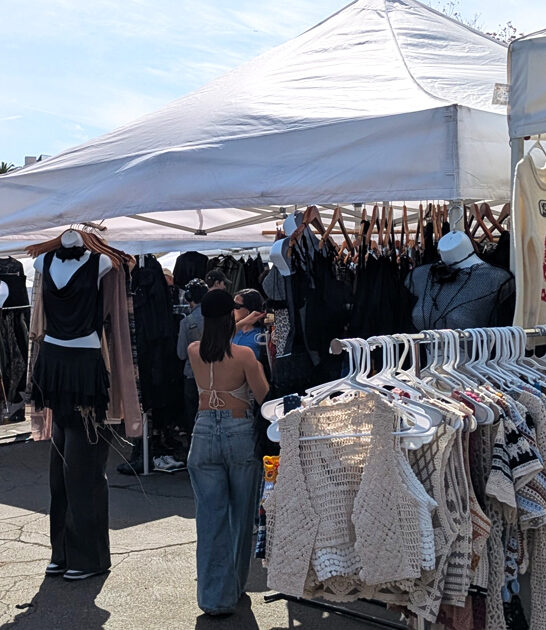 humongous california swap meet ftr