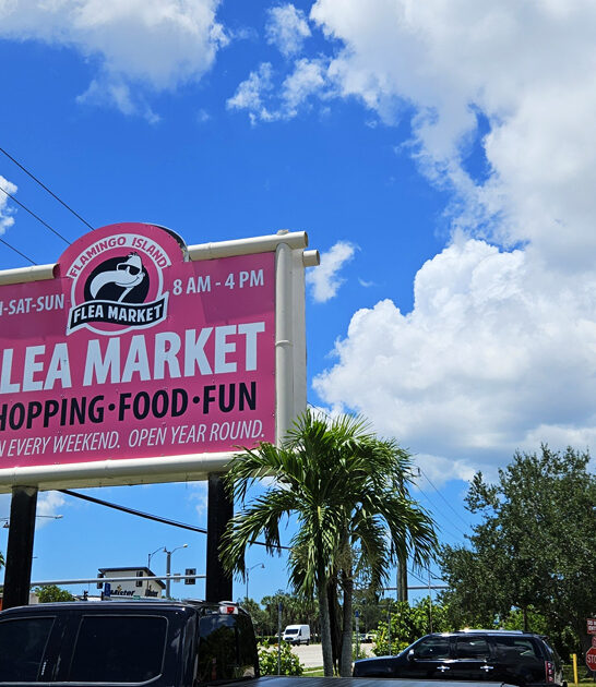 hunters dream florida market ftr